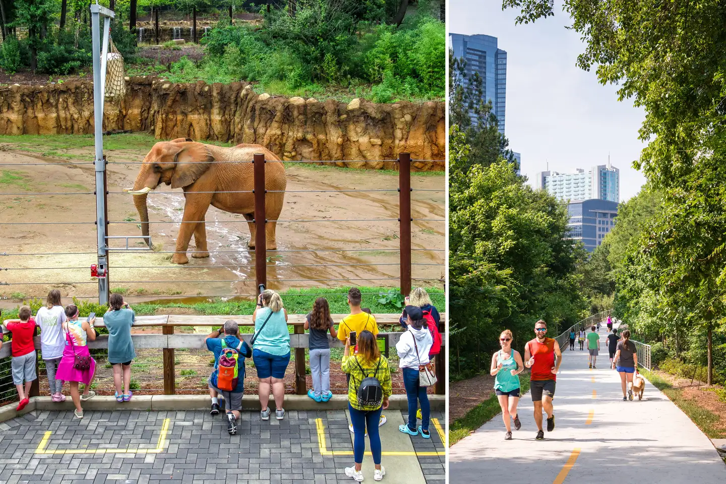 Atlanta, Georgia is one of the best places to live in 2024 | Money