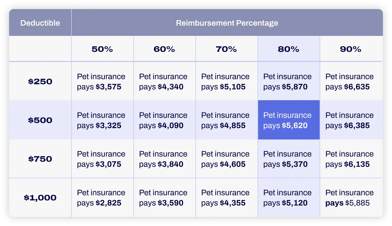 How Much of The Average Vet Bill Does Pet Insurance Cover? | Money